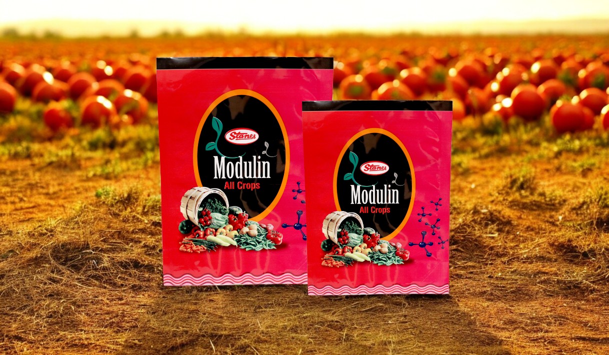 Modulin | T. Stanes and Company Limited