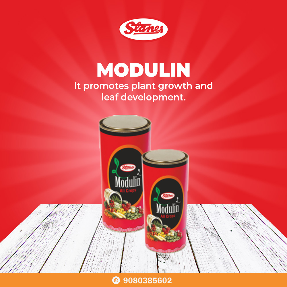 Modulin | T. Stanes and Company Limited