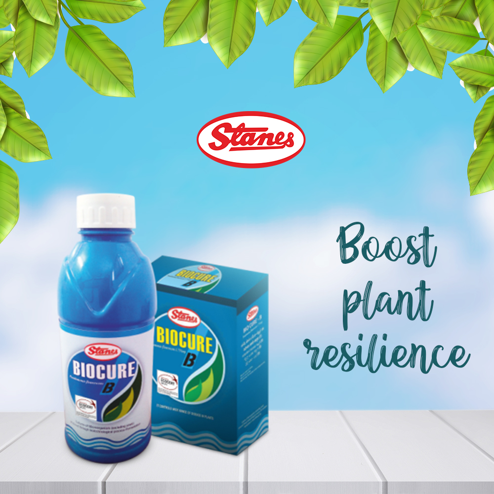 BioCure-B | T. Stanes and Company Limited