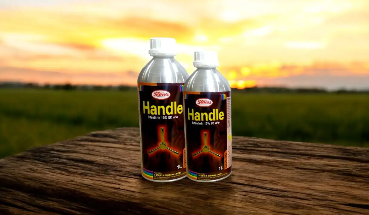 HANDLE | T. Stanes and Company Limited