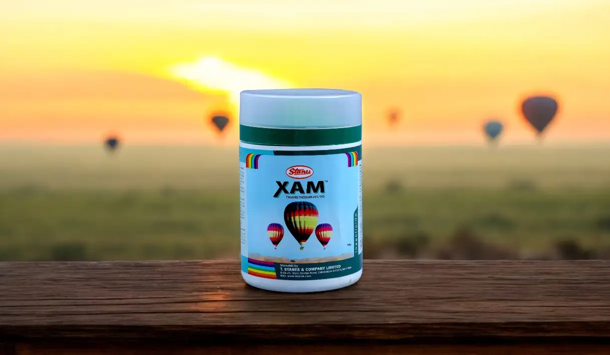 XAM | T. Stanes and Company Limited